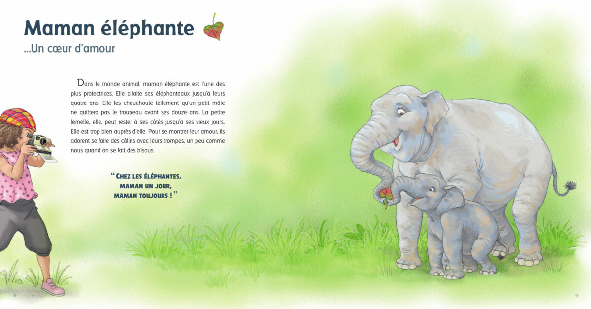 La Vie Secrète Des Animaux